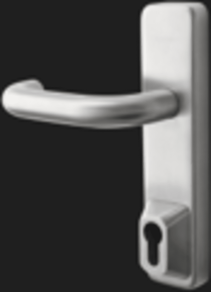 Heavy Duty Outside Access Device with Lever Handles – Premier Fire Doors